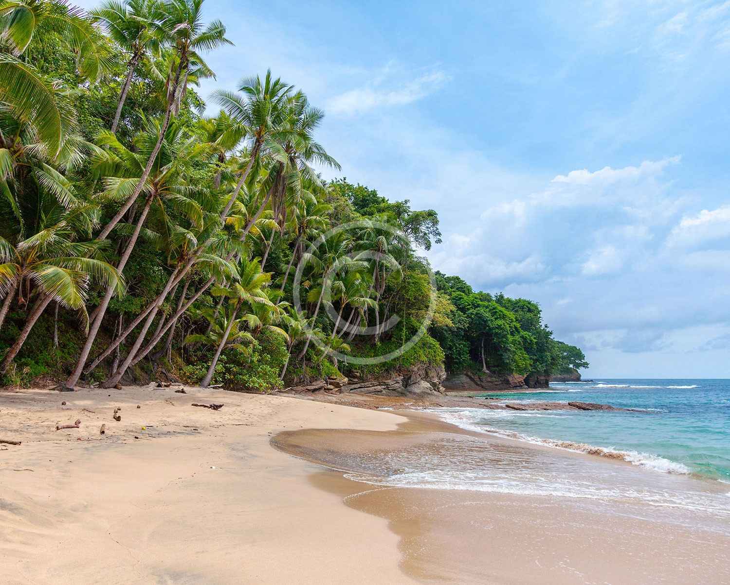 South Pacific – Lost Peninsula Marina